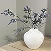 Amazon.com: Willowy 5 Inch Small White Porcelain Vase with Glossy ...
