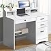Amazon.com: Catrimown Computer Desk with 4 Drawers and Hutch, Home ...