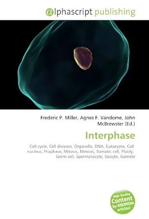 Interphase : Amazon.in: Books