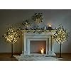 Amazon.com: BAOLITVINE Lighted Eucalyptus Garland 6FT 96 LED Fairy ...