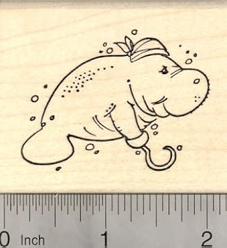 Amazon.com: Manatee Pirate with Hook and Bandana Rubber Stamp : Arts ...