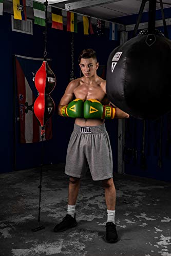 Title Boxing Body Snatcher Bag – Littleton Physical Therapy