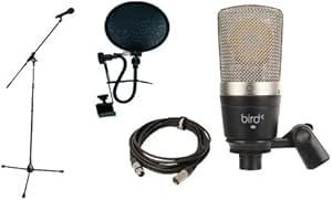 Amazon.com: BIRD EM1 SET Large-Diaphragm condenser microp : Musical ...