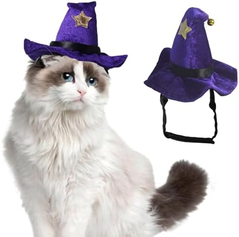 Amazon.com : Pets on Safari Helloween Pet Costume, Adjustable Cat ...