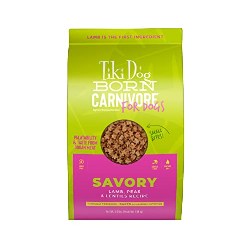 Protect Your Pup: Uncovering the Top 10 Aflatoxin-Free Dog Foods ...