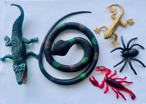 Buy VEDY Realistic Rubber Reptile Toys, Set of 5 (Snakes, Lizards ...
