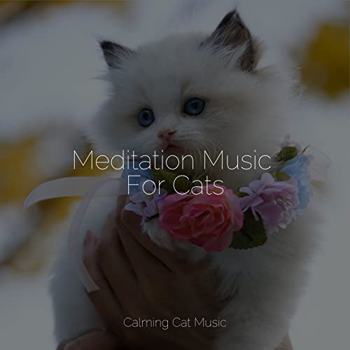 Amazon Music - Music for Resting Cats, Music for Relaxing Cats, Music ...