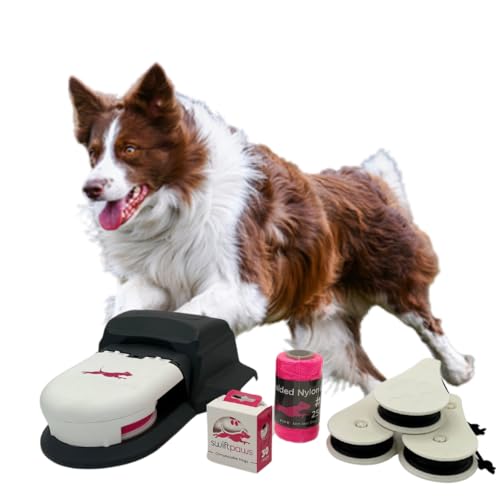 amazon.ae Best Sellers: The best items in Dog Chew Toys based on Amazon ...