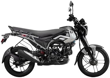 BAJAJ Freedom CNG 125 Disk LED Motorcycle/Motorbike | Pearl Metallic ...