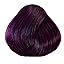 La Riche Directions Hair Colour - Plum 88ml Tub : Amazon.fr: Beauté et ...