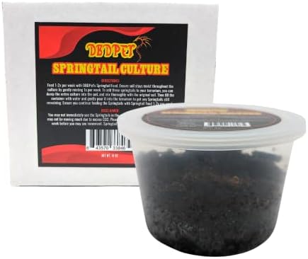 Amazon.com : DBDPet Live Springtail Cultures - Great for Terrariums ...