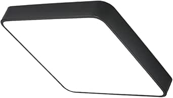 Homoyoyo Balcony Ceiling Light Outdoor Light Fixtures for House ...