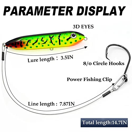 Snapklik.com : Catfish rig,Demon Dragon Catfish Floats,Santee Cooper ...