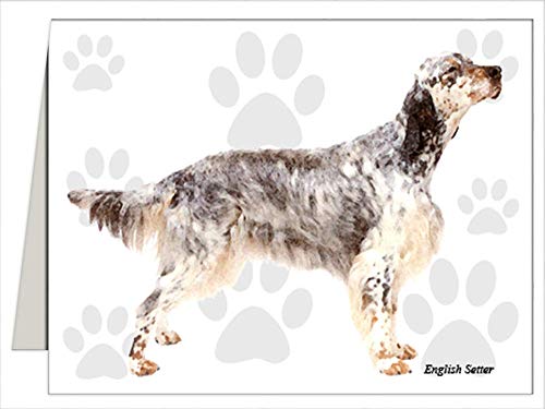 Amazon.com: English Setter Note Cards : Handmade Products