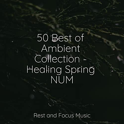 Amazon MusicでBaby Relax Music Collection, Regengeräusche & Ambient ...