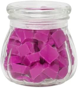 Amazon.com: Northern Lights Candles - Tropical 5-oz.Fragrance Chips ...