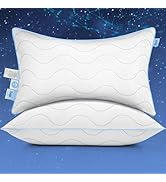 Amazon.com: felo Feather Down Pillows Queen Size Set of 2, CloudFusion ...