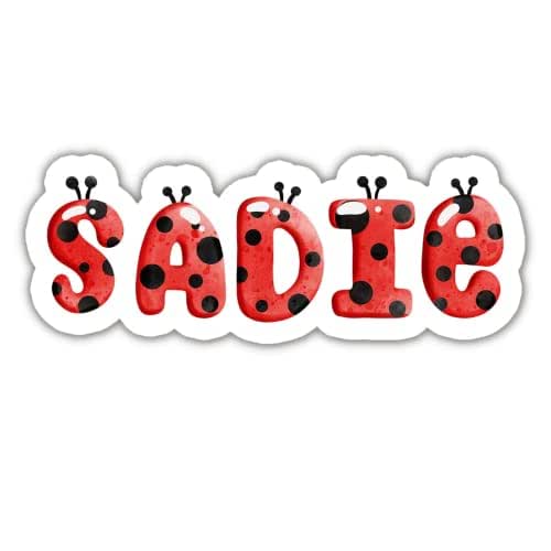 Amazon.com: Personalized Ladybug Sticker, Custom Name Ladybird Die Cut ...