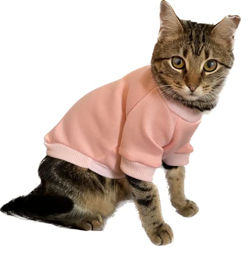 Purr-fectly Adorable: 10 Cute Cat Clothing Must-Haves and Buying Guide ...