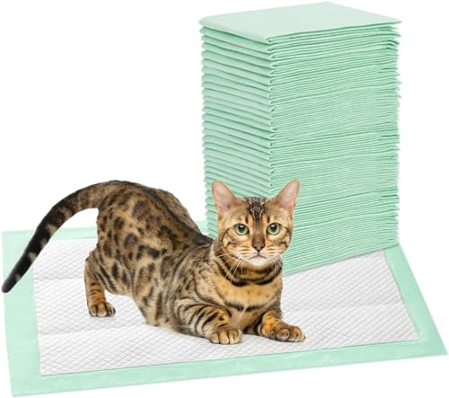 Pee Pads for Cats – The 15 best products compared - Wild Explained