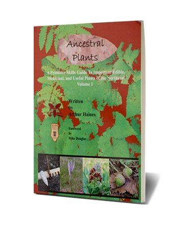 Ancestral Plants: A Primitive Skills Guide to Important Wild Edible ...