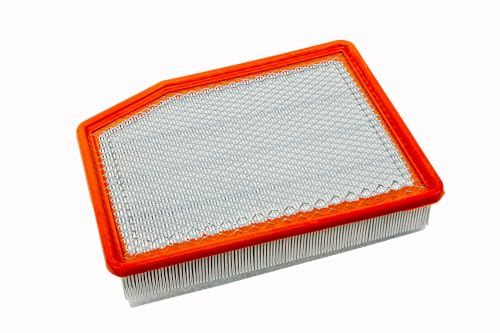 Snapklik.com : GM Original Equipment A3244C Air Filter