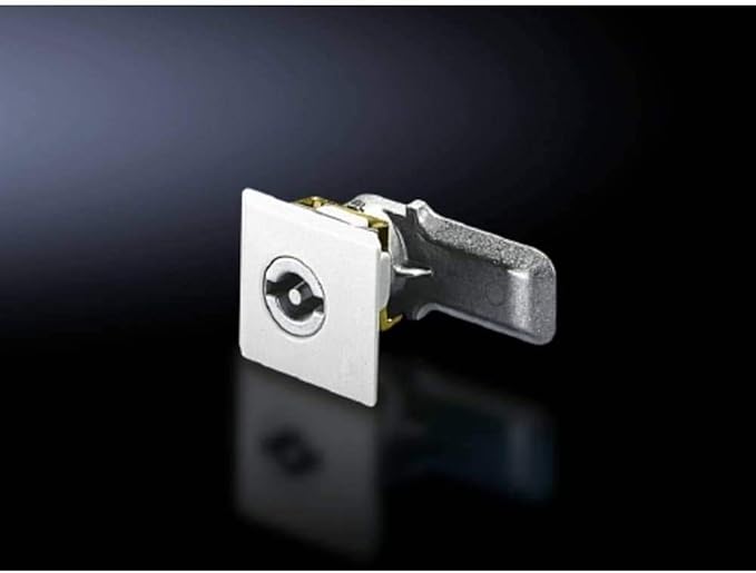 Rittal SZ 2420.000 Locking Insert Double Bit Polyamide 1 Piece