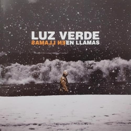 Amazon.com: En Llamas : Luz Verde: Digital Music