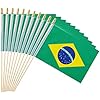 Amazon.com : Ckexin 25Pack Small Brazil Flag Handheld Mini Brazilian ...