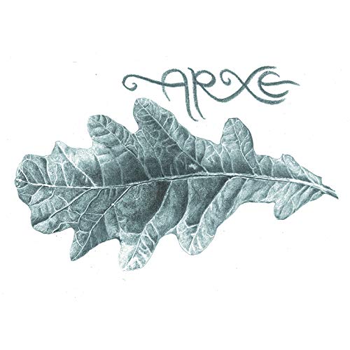 Amazon.com: Arxe : Arxe: Digital Music