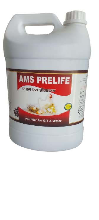 AMS Prelife | Gut Acidifier for Chick | Cures Gas Disease | Vitamin B ...