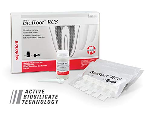Amazon.com: SPT BioRoot RCS Mineral Based Root Canal Sealer Ea ...