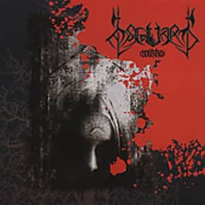 Amazon.co.jp: Wikka: ミュージック