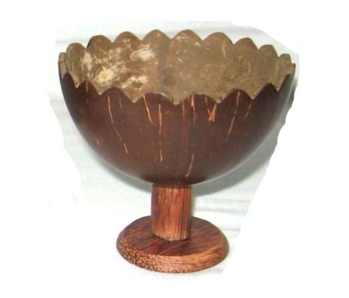 Cocoshope Coconut Shell Dessert Cups - Set of 2 : Amazon.in