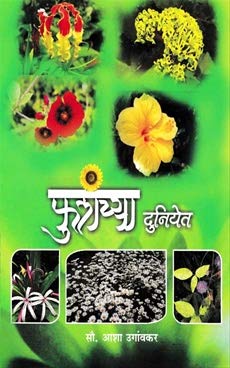 Amazon.in: Buy Fulanchya duniyet Book Online at Low Prices in India ...
