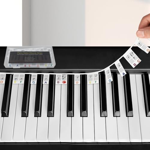 Amazon.com: ZUFECY Piano Notes for Beginner, Removable 88-Key Full Size ...