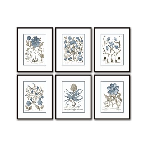 Amazon.com: Vintage Sepia and Blue Print Set No. 22, Botanical Prints ...