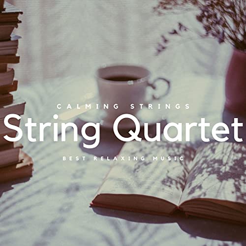 String Quartet, Best Relaxing Music de Calming Strings, Violins ...