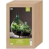 Amazon.com: Esschert Design AGG49 Terrarium Bottle Planter with Tools ...