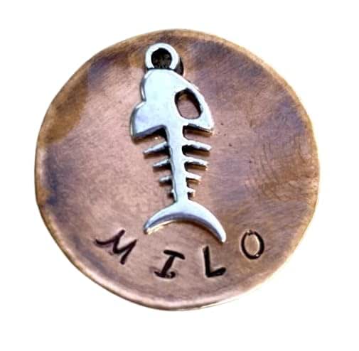Amazon.com: Fish Bone Tag, Fish Cat Tag, Tags for Cats, Cat ID Tag, Dog ...
