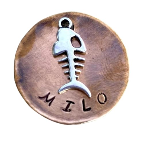 Amazon.com: Fish Bone Tag, Fish Cat Tag, Tags for Cats, Cat ID Tag, Dog ...