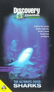 Discovery Channel: The Ultimate Guide - Sharks [VHS] : Clarita Berger ...