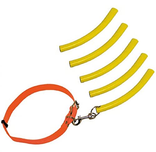 Bringsel Hund – Die 15 besten Produkte im Vergleich - Haustierratgeber ...