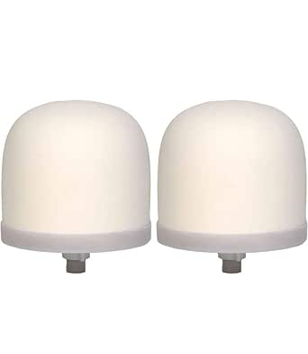 Amazon.com: Ceramic Dome Water Filter Silver Impregnated with Active ...