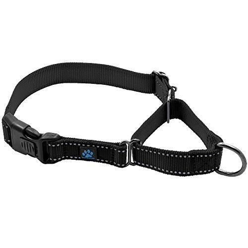 Amazon Best Sellers: Best Dog Collars