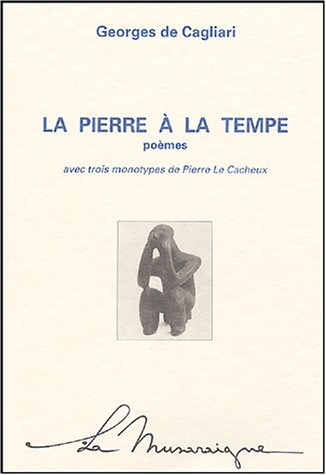 Amazon.com: La pierre à la tempe (French Edition): 9782952049801: de ...