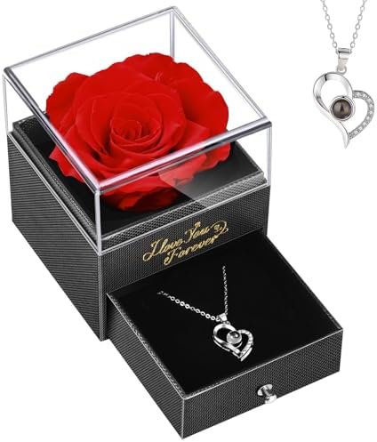 Amazon.com: Wonder Collection Preserved Rose with Necklace - Eternal ...