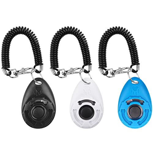 Clicker para perros: qué es y cómo usarlo para entrenar a tu mascota ...