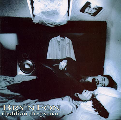 Play Dyddiau Digymar by Bryn Fon on Amazon Music
