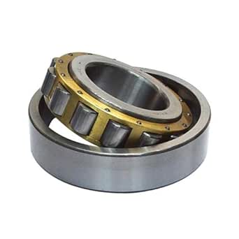 Ball Bearings Cylindrical Bearing N303 304 305 306 307 308 309 310 311 ...